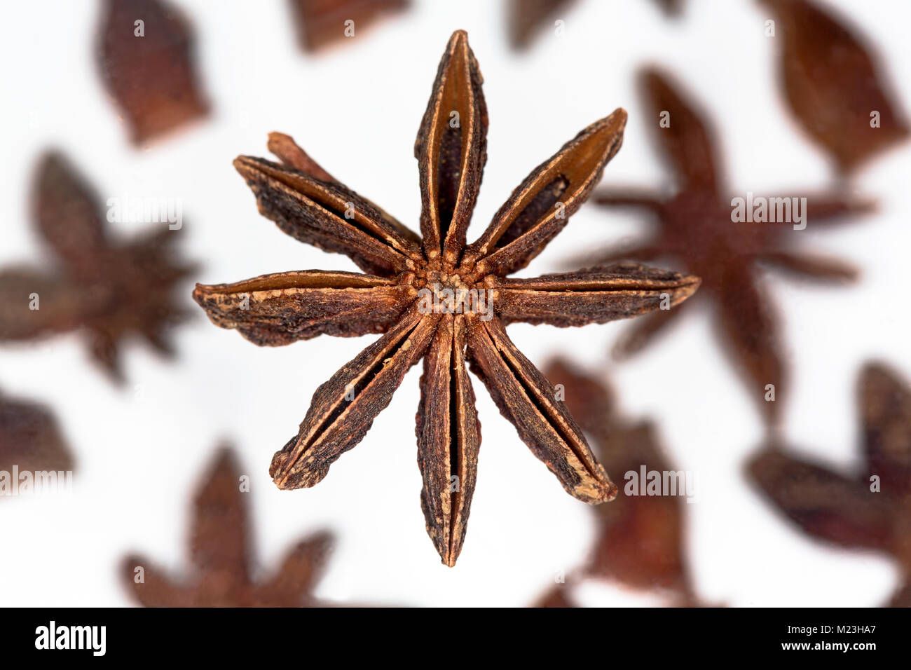 Close Up Of Star Anise Spice On White Background Stock Photo - Alamy
