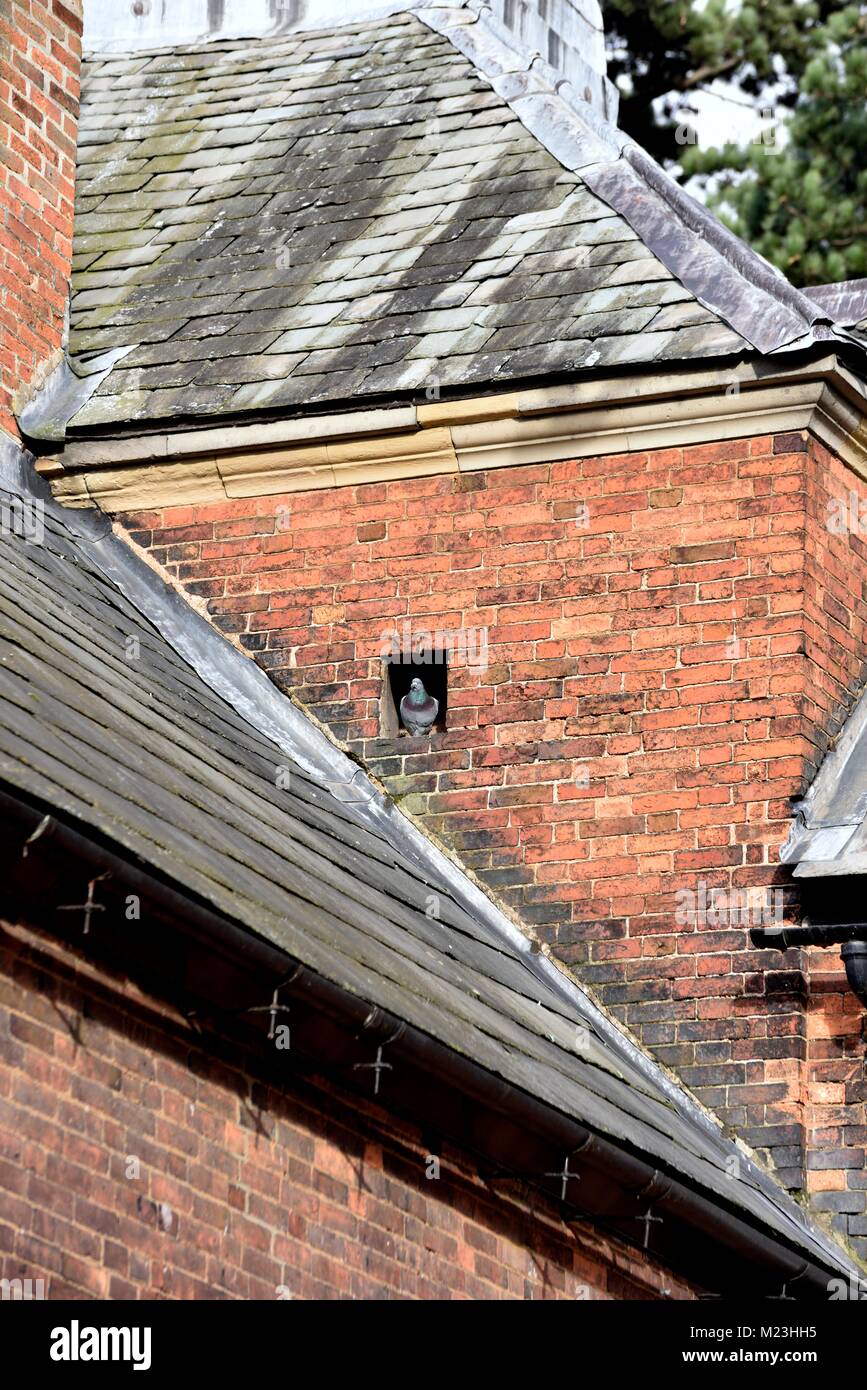 Pigeon hole hi-res stock photography and images - Alamy