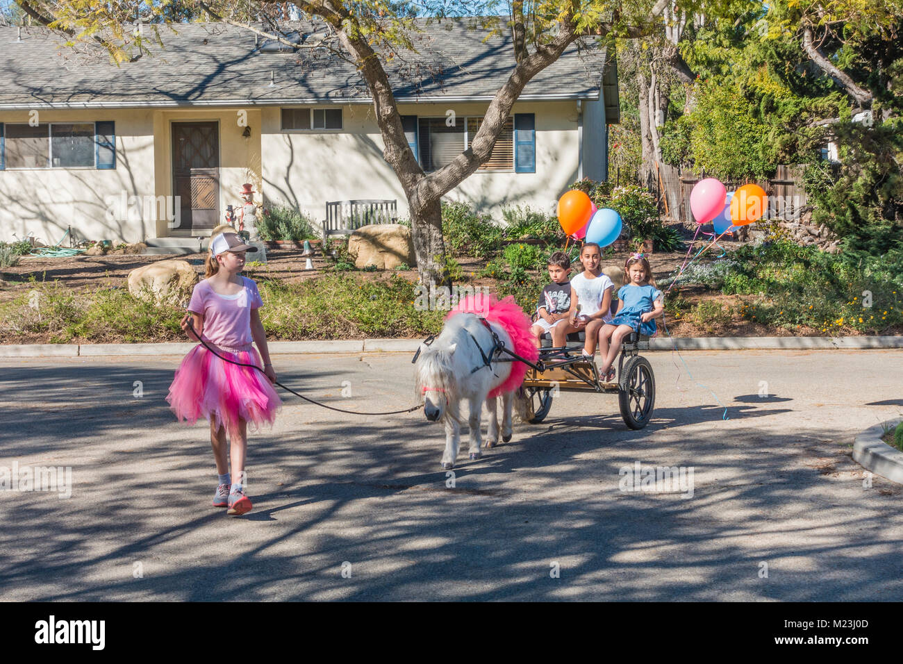 Young girls and a boy take a ride on a pony cart at a birthday party in ...