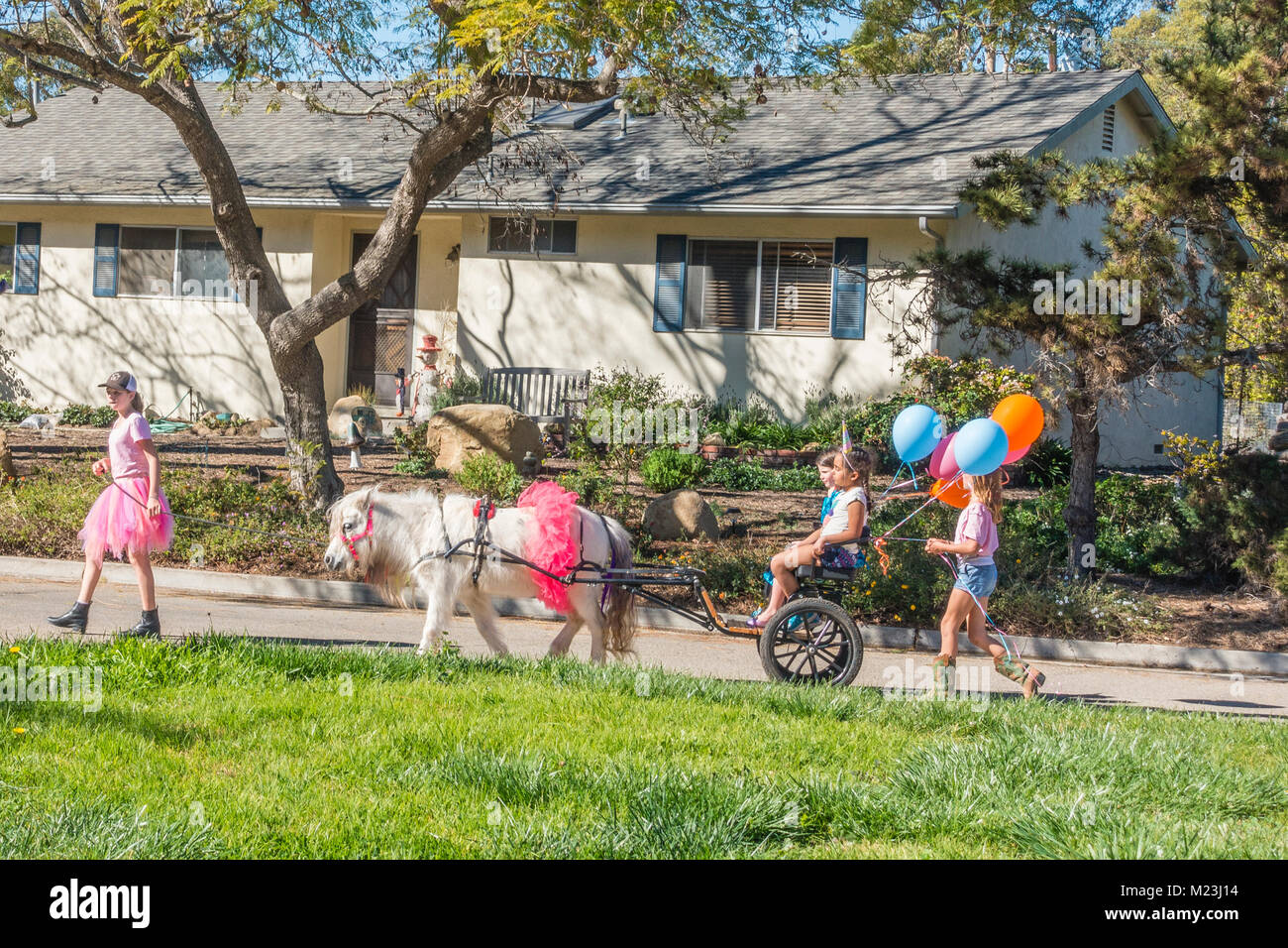 Pony cart hi-res stock photography and images - Alamy