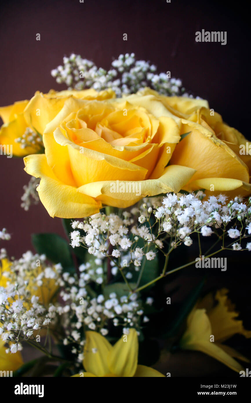 Bouquet of Yellow Roses Stock Photo - Alamy