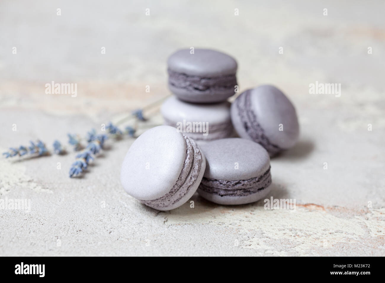 Monochrome gray macaron or macaroon on concrete background, almond ...