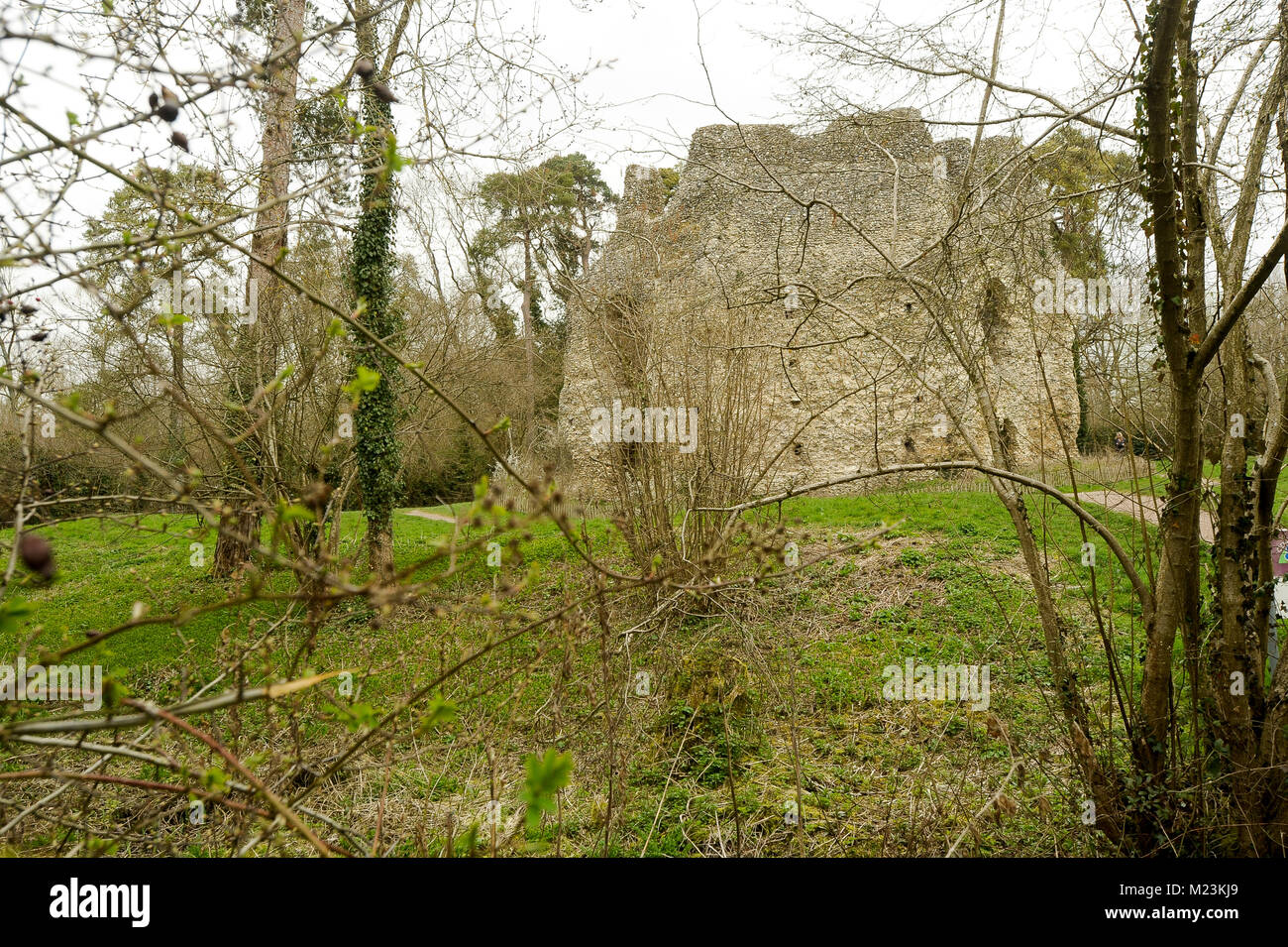 Ruins of Romanesque Gothic Odiham Castle also called King John`s Castle ...