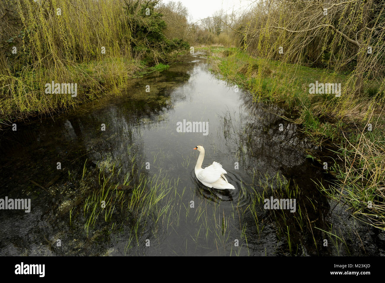 River whitewater hampshire uk hi-res stock photography and images - Alamy