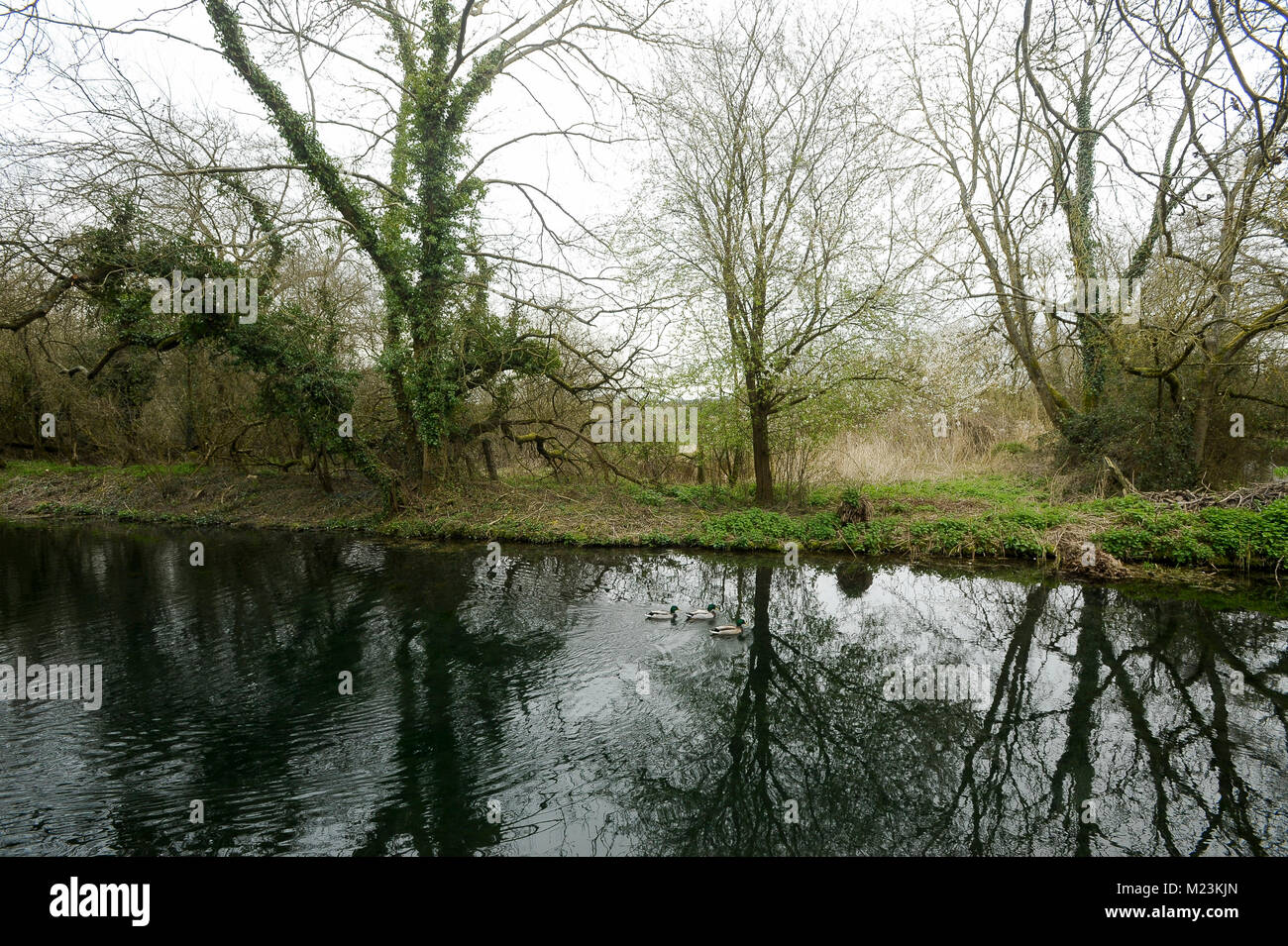 River whitewater hampshire uk hi-res stock photography and images - Alamy