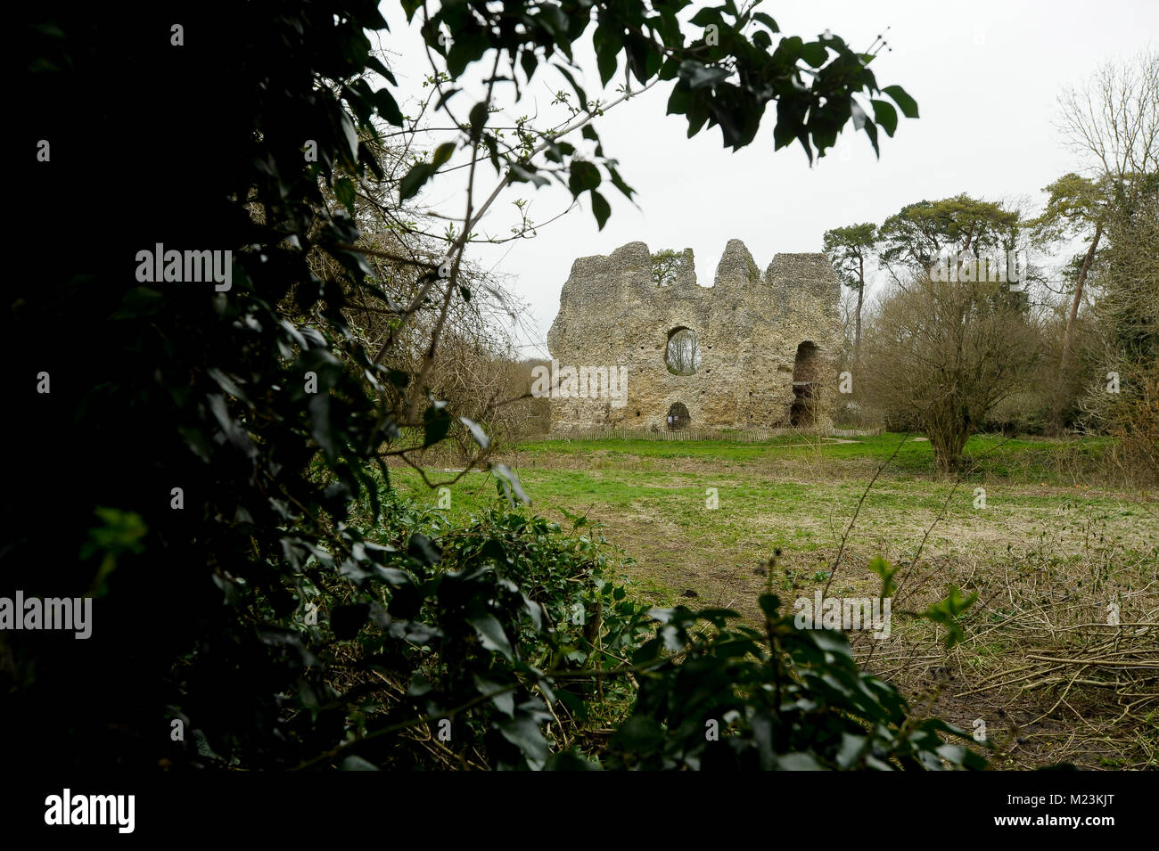 Ruins of Romanesque Gothic Odiham Castle also called King John`s Castle ...