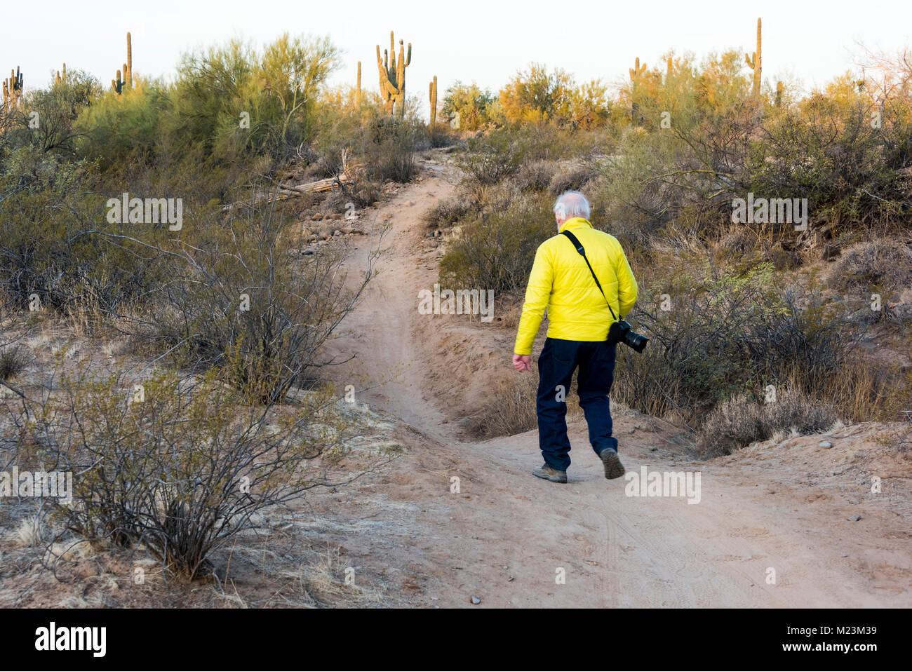 Man taking a sunrise walk in Apache Wash Trailhead in Arizona Stock ...