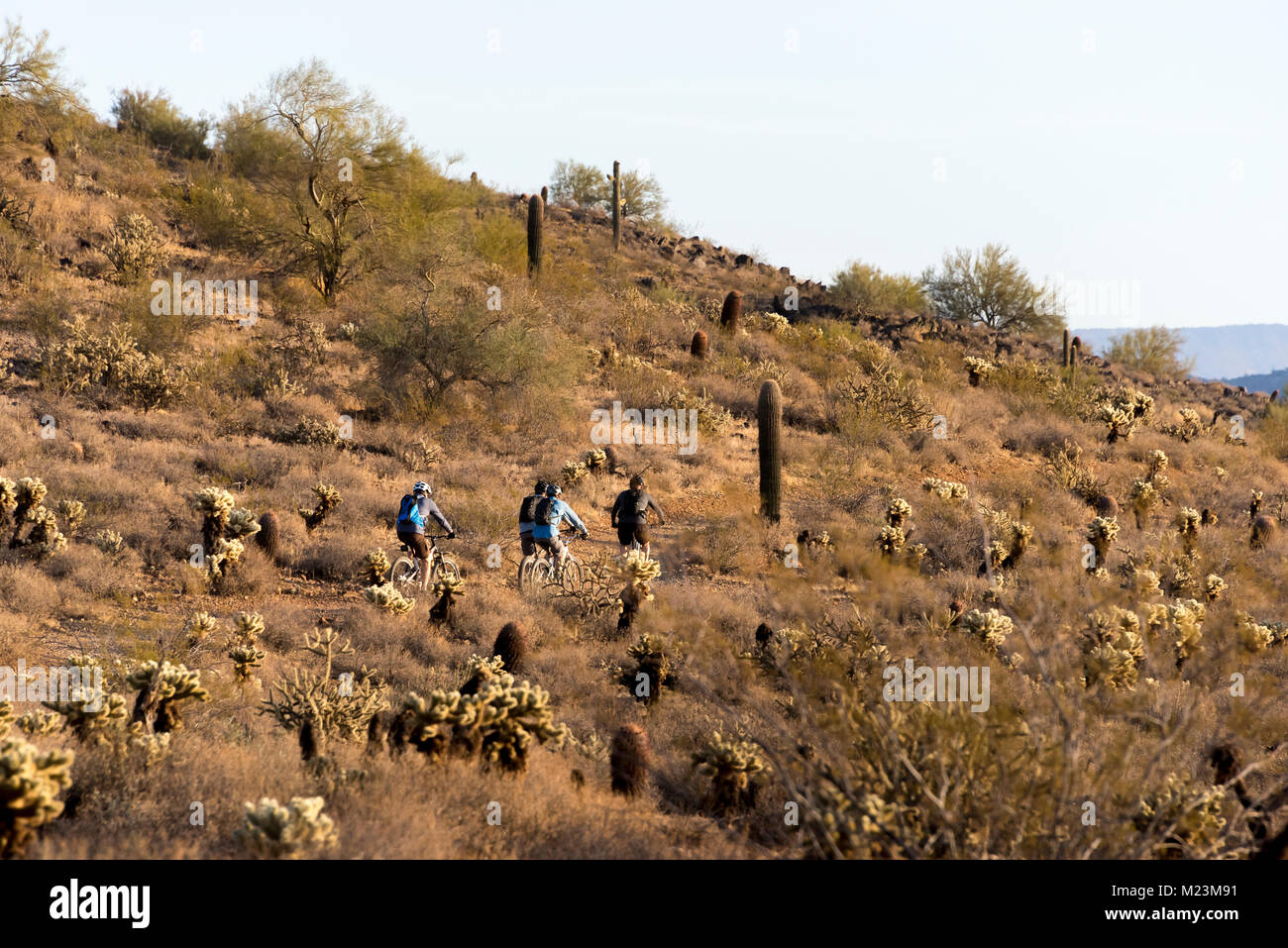 Hikers taking a walk at dawn in the desert at Apache Wash Trailhead ...