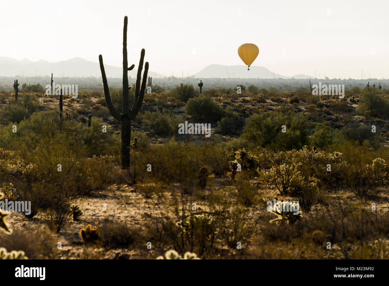 Balloon rising over desert at Apache Wash Trailhead Stock Photo - Alamy