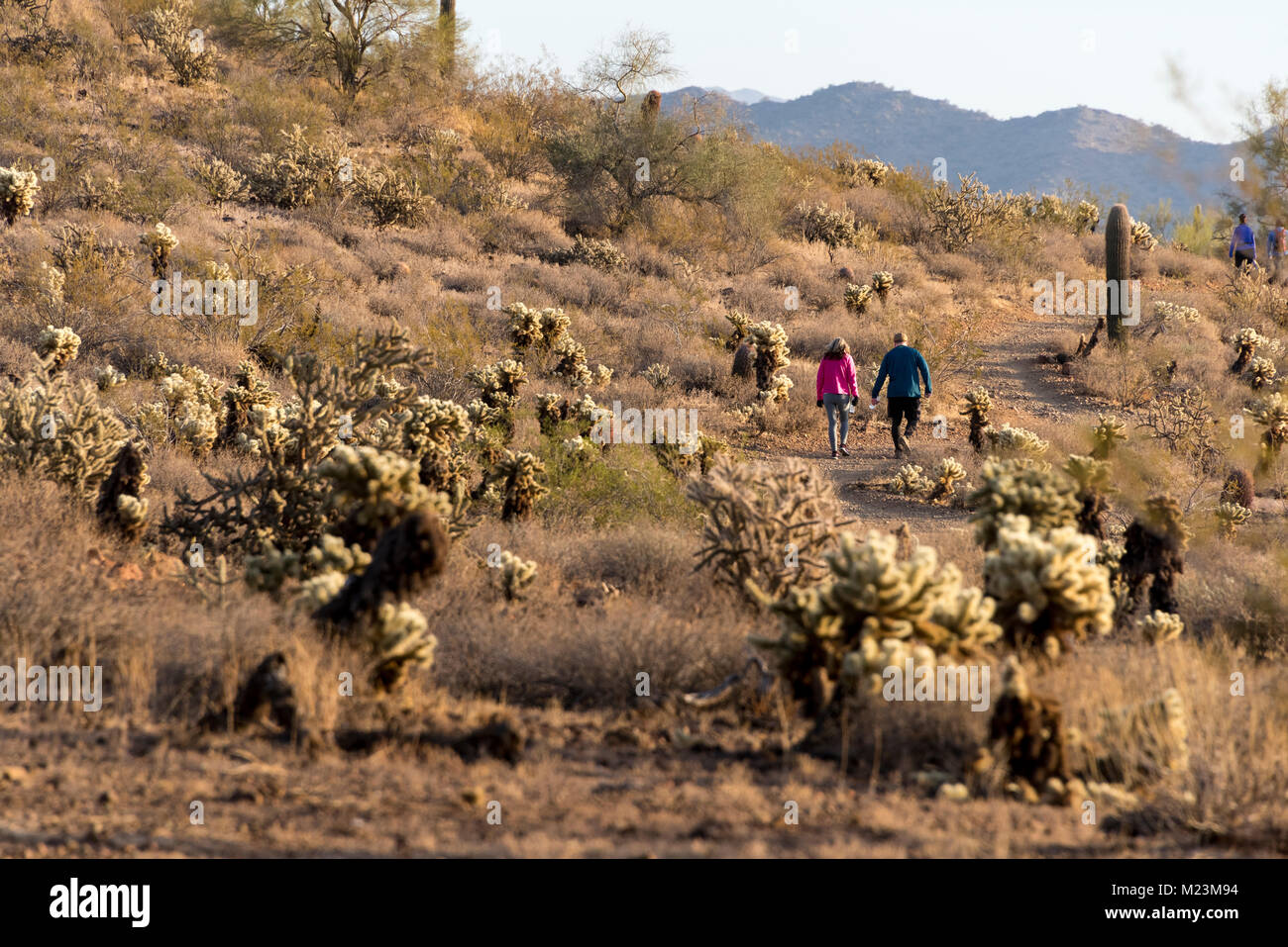 Hikers taking a walk at dawn in the desert at Apache Wash Trailhead ...