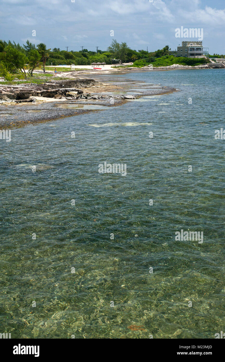 Coral Reef, East End, Grand Cayman Stock Photo - Alamy Coral Reef, East End, Grand Cayman Stock Photo - Alamy
