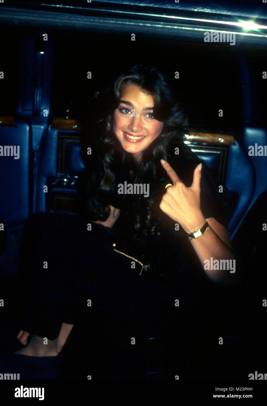 Endless love 1981 brooke shields hi-res stock photography and images ...