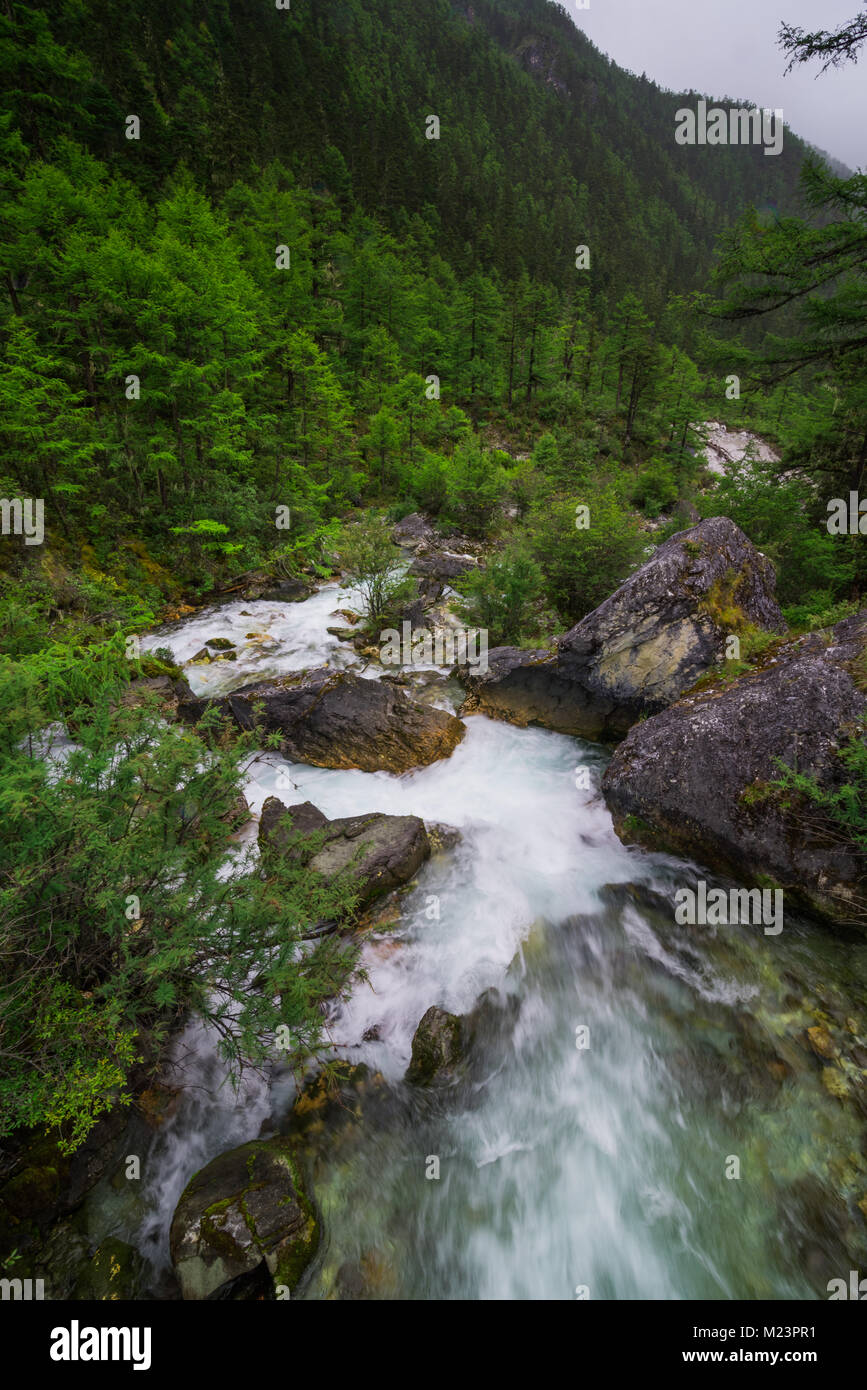Beutiful nature of stream and forest in Yading national level reserve ...