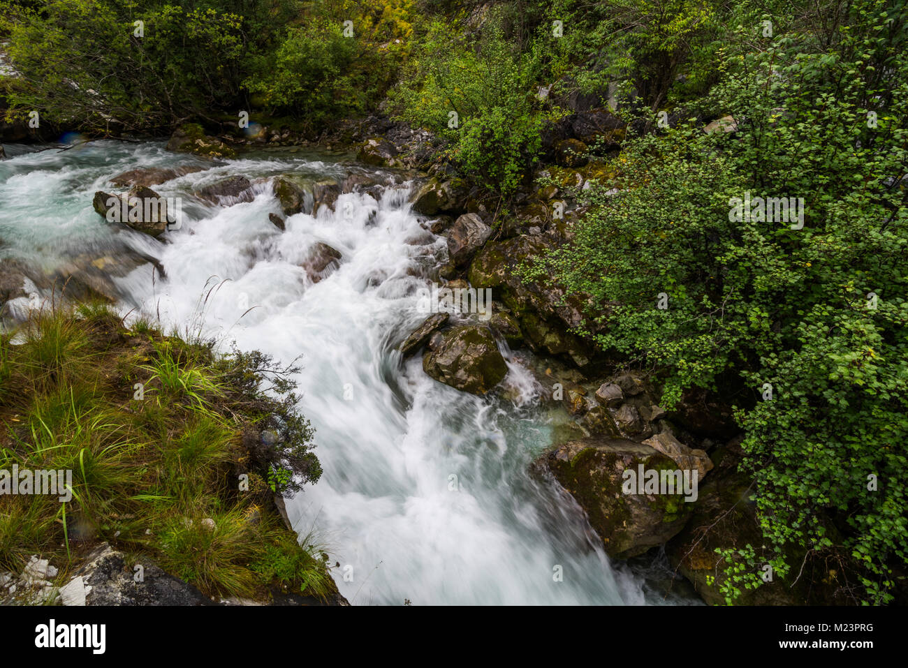 Beutiful nature of stream and forest in Yading national level reserve ...