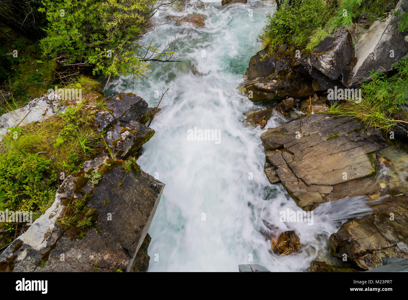 Beutiful nature of stream and forest in Yading national level reserve ...