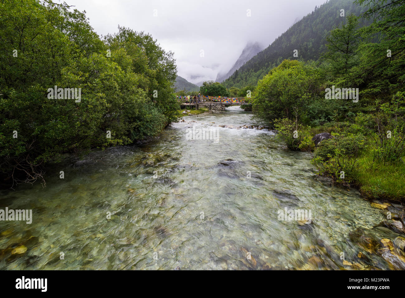 Beutiful nature of stream and forest in Yading national level reserve ...