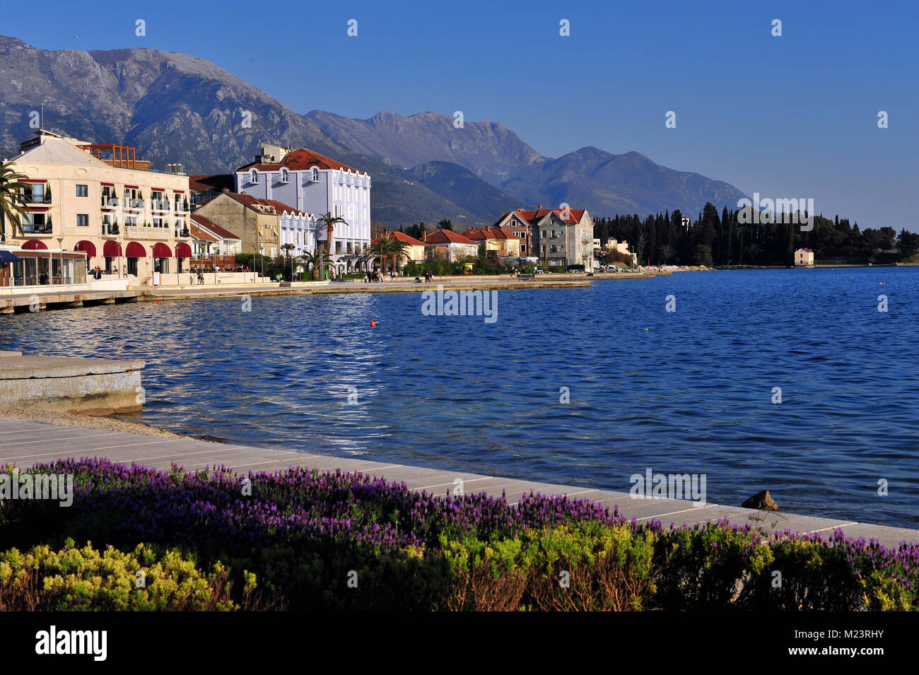 Tivat riviera montenegro hi-res stock photography and images - Alamy