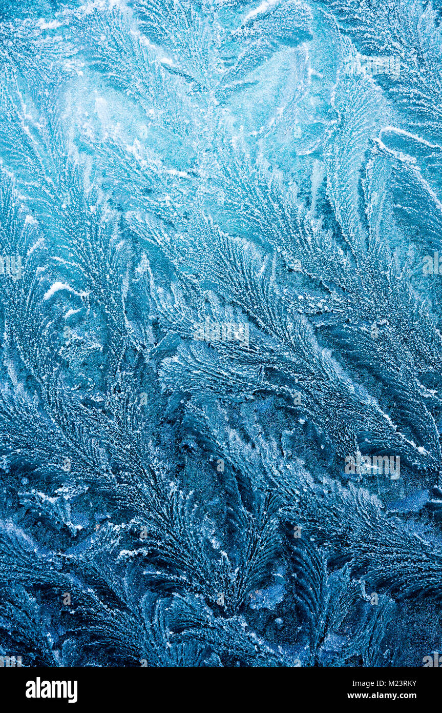 Iceflowers, frozen.The ice-cold frost forms ice crystals in beautiful ...