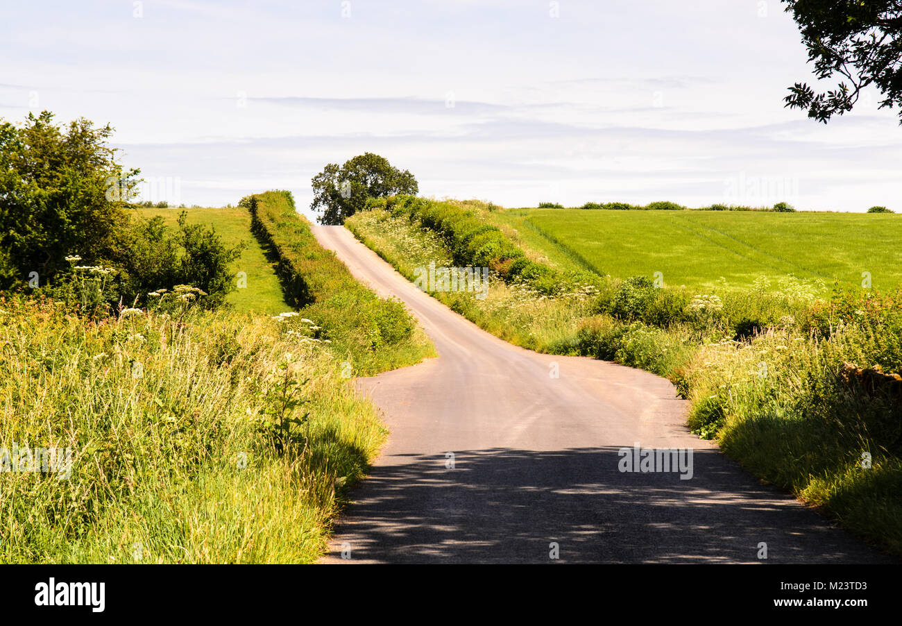 Small country farm road between the fields hi-res stock photography and ...