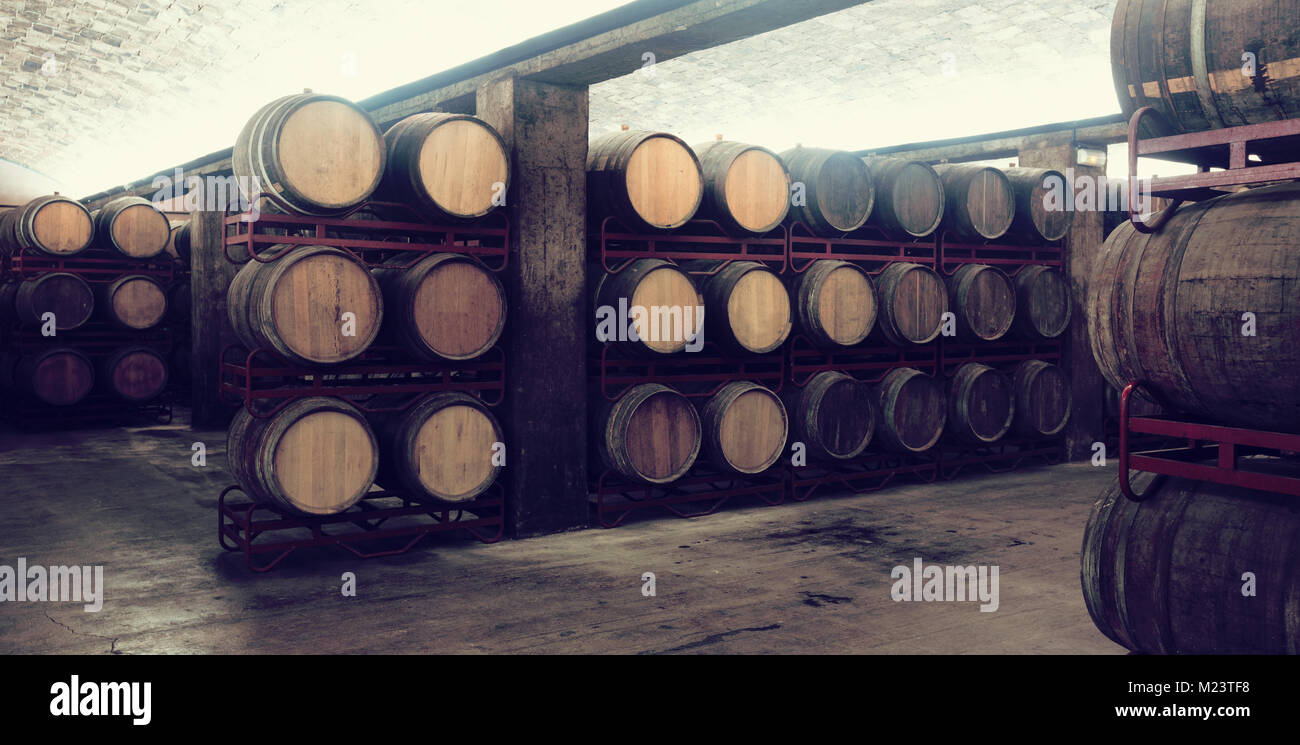Wooden barrels for the fermentation of wine in winemaker factory Stock ...