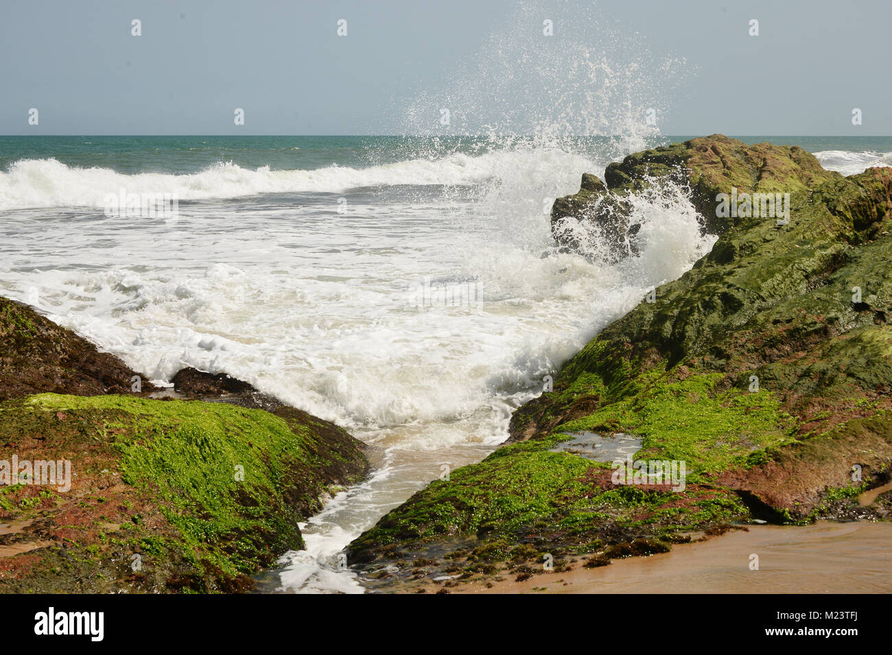 African ghana ghanaian nature hi-res stock photography and images - Alamy