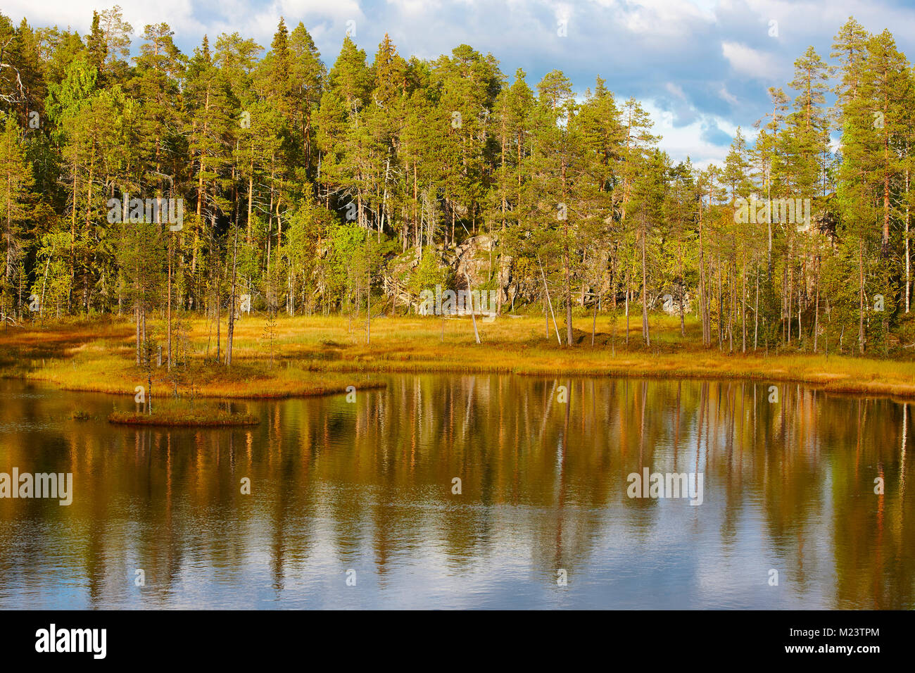 Finland forest and lake at Pieni Karhunkierros trail. Autumn season ...