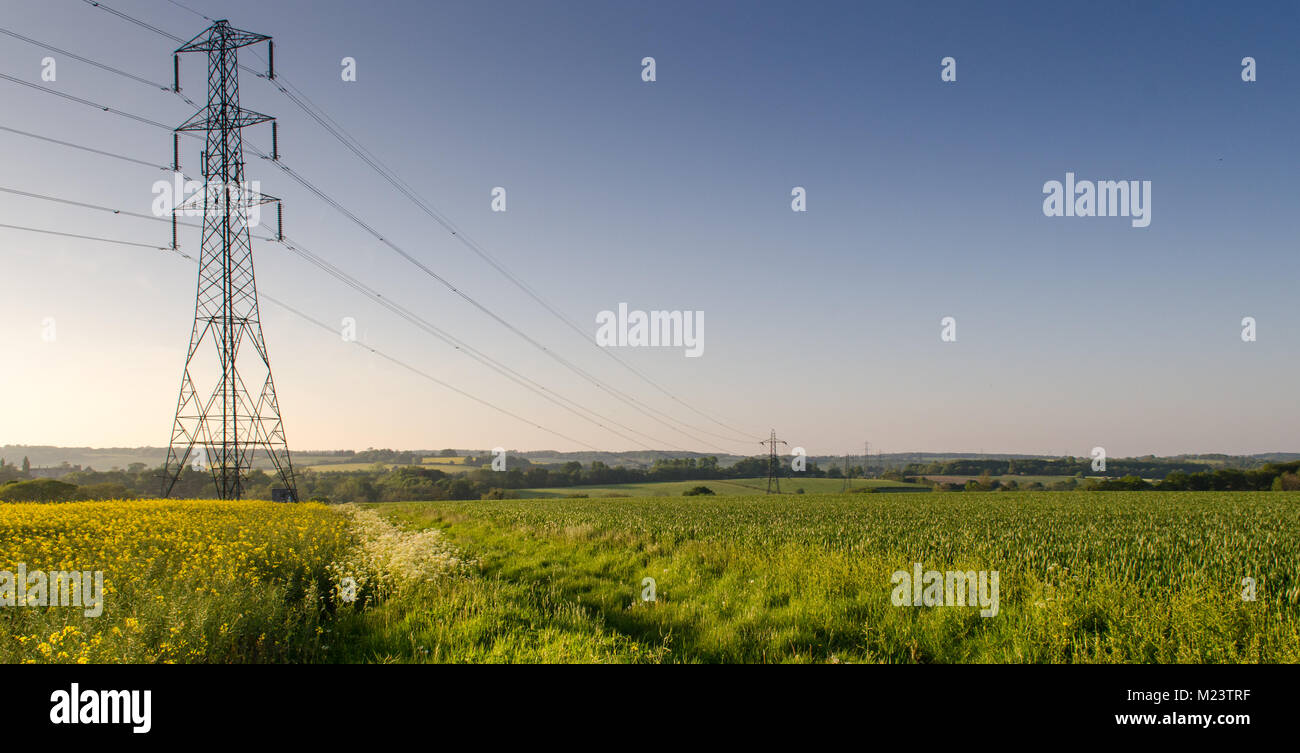 Pylons carrying electricity power lines cross fields of crops on the ...