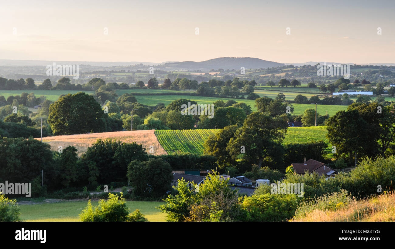 Blackmore vale child okeford hi-res stock photography and images - Alamy