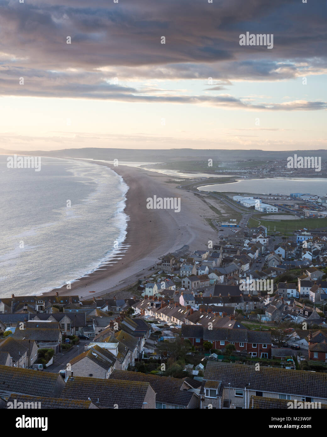 Jurassic coast dorset birds hi-res stock photography and images - Alamy