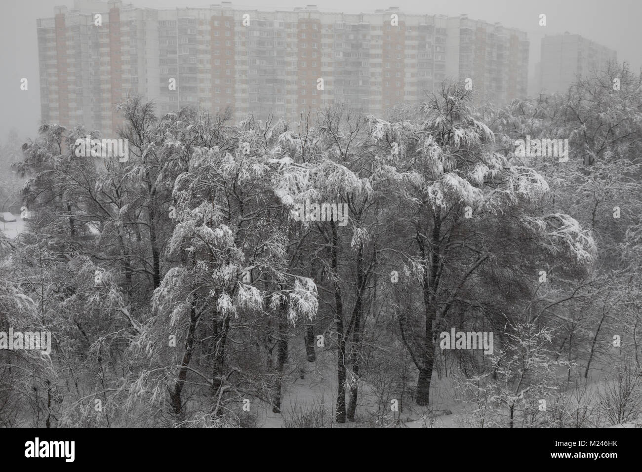 Outskirts of moscow hi-res stock photography and images - Alamy