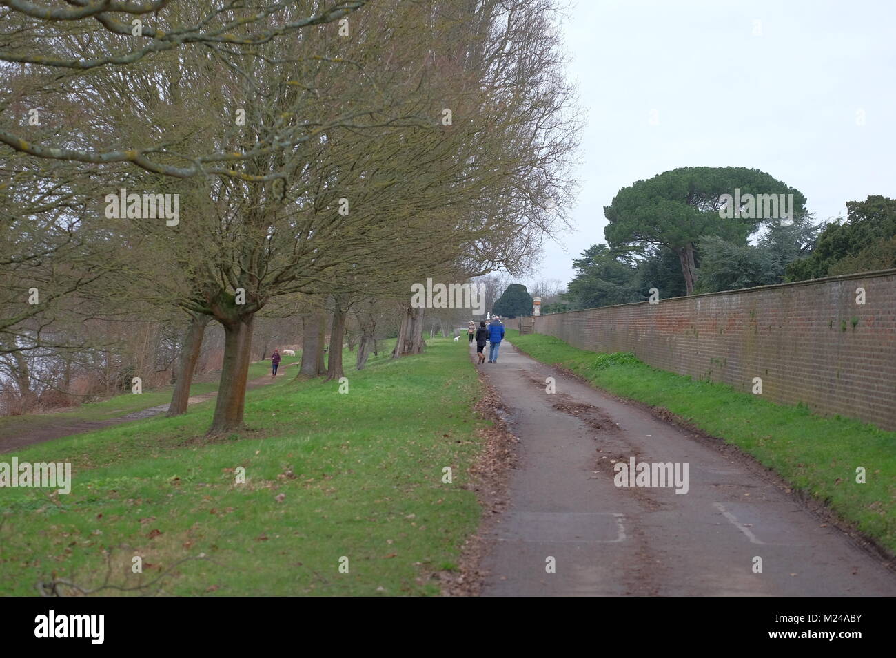 tow path in inter Stock Photo - Alamy