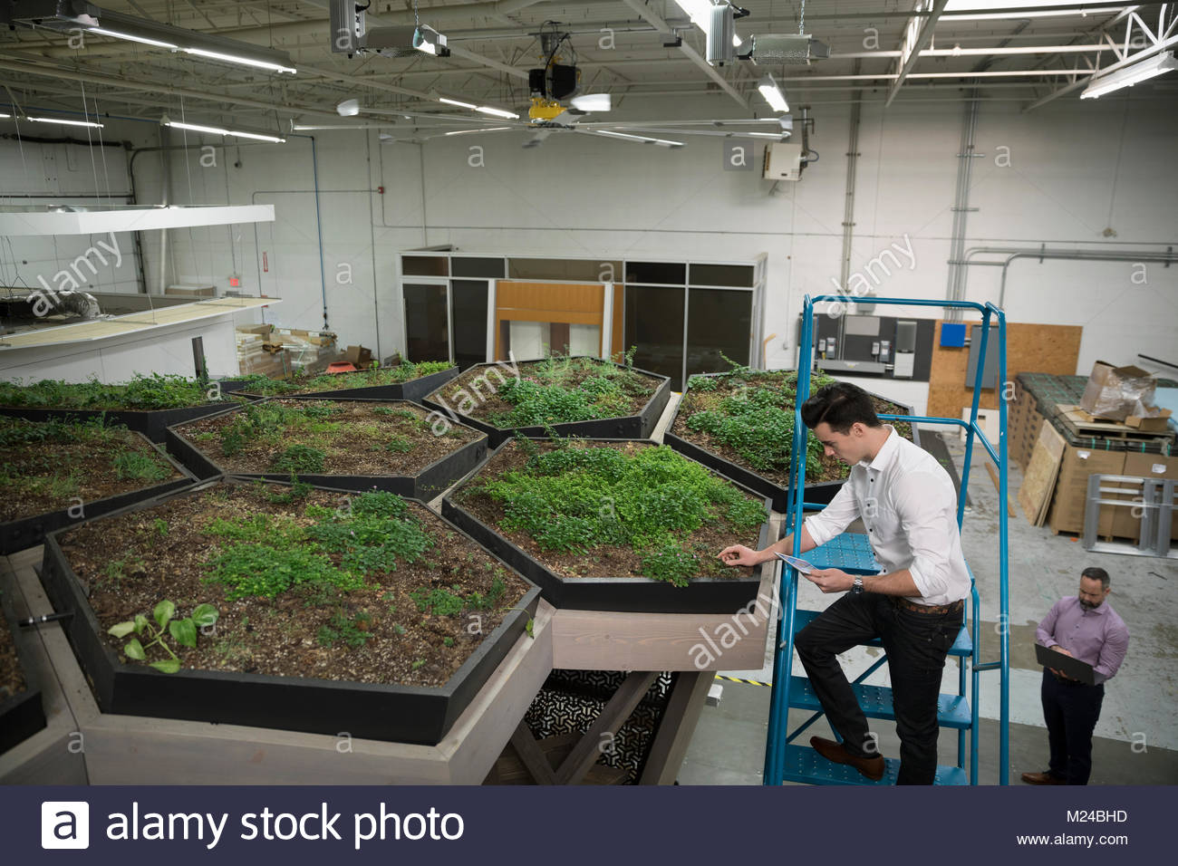 Rooftop ladder hi-res stock photography and images - Alamy