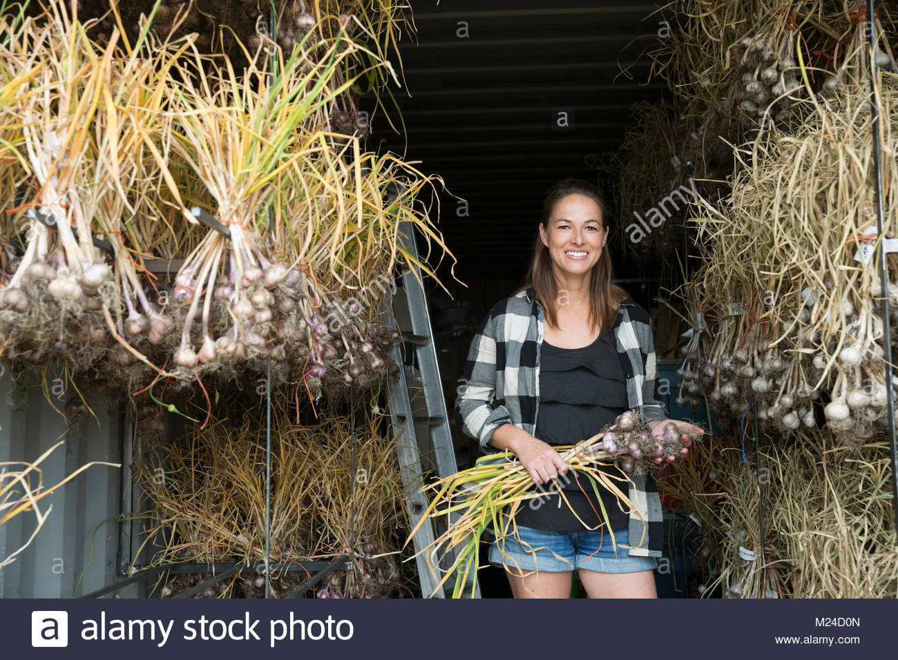 Portrait smiling female farmer hanging, drying garlic in barn Stock ... Portrait smiling female farmer hanging, drying garlic in barn Stock ...