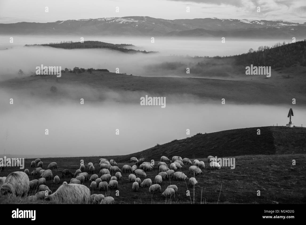 Beautiful view rural valley in Black and White Stock Photos & Images ...