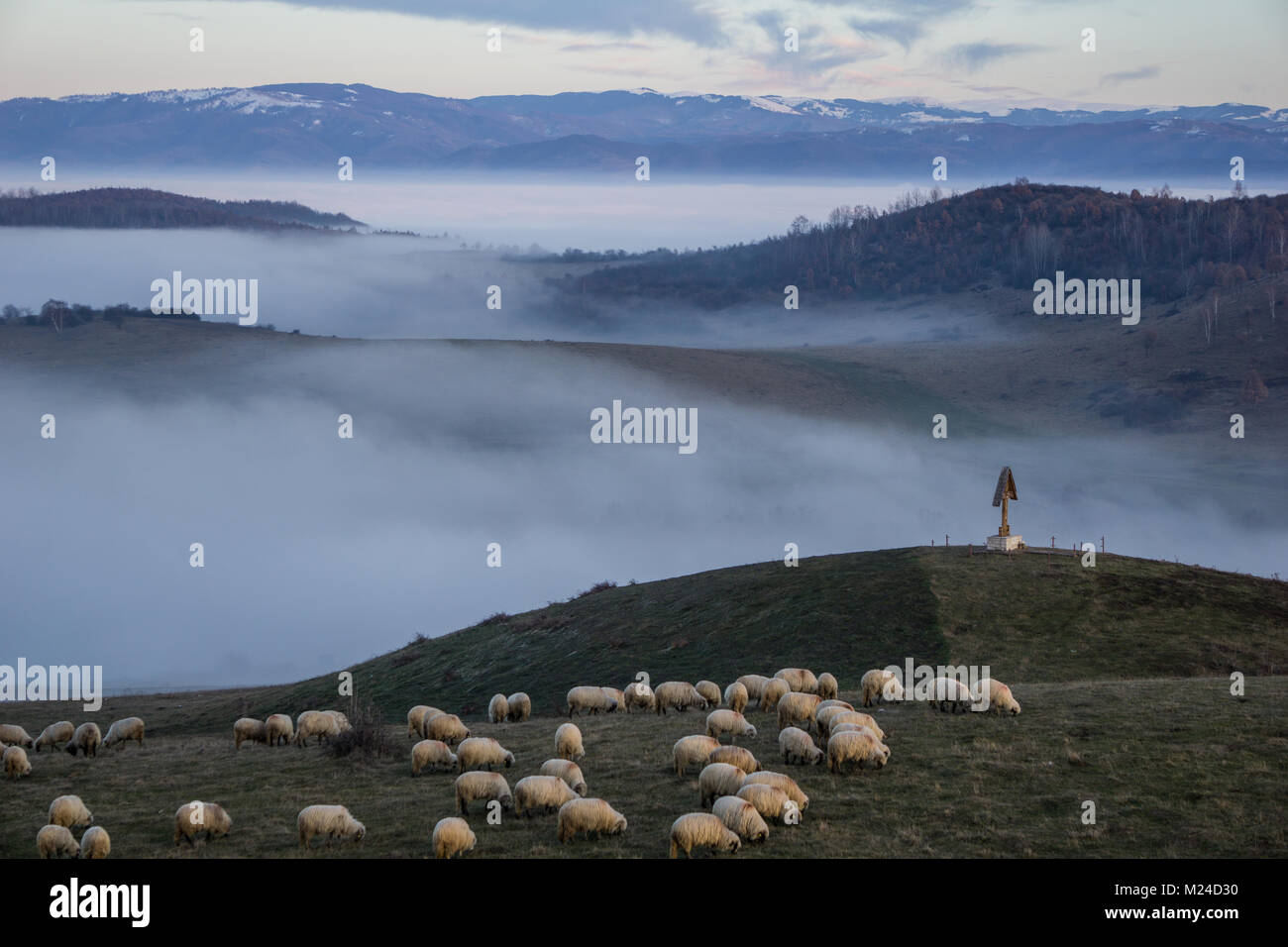 Transylvanian meadow hi-res stock photography and images - Alamy