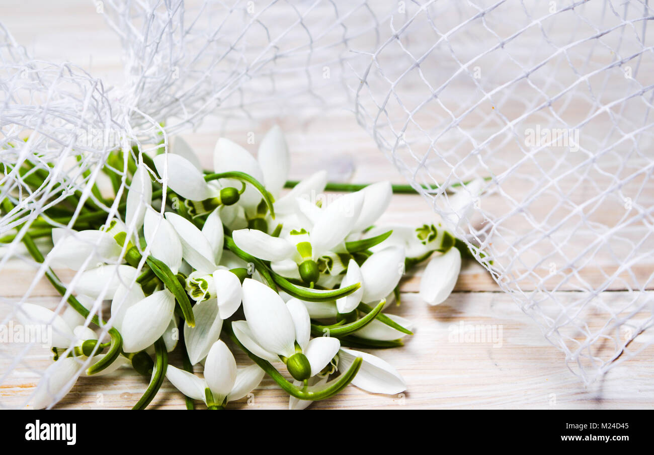 Snowdrop winter flowers bouquet on white background Stock Photo - Alamy