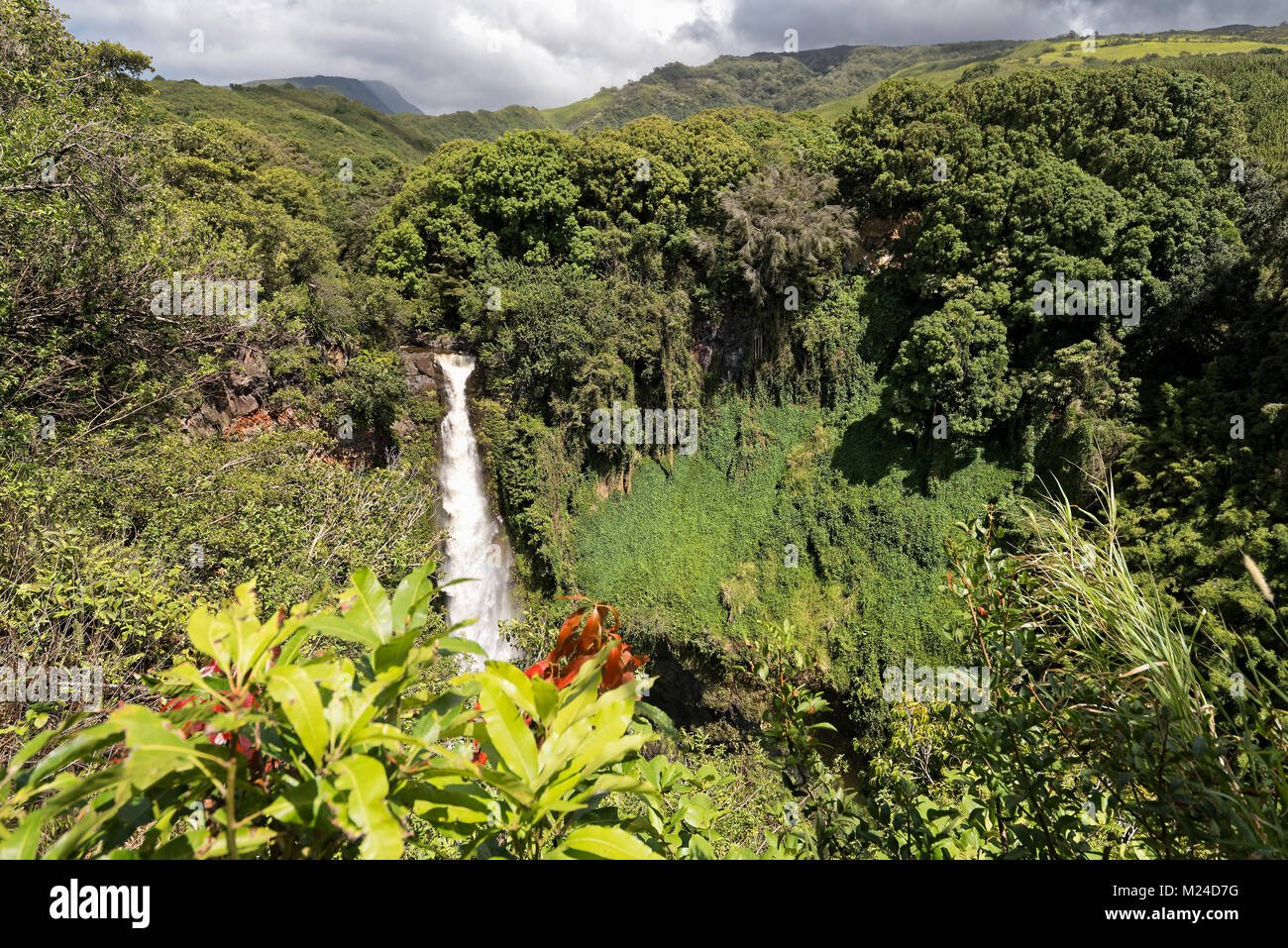 Hawaii Landscape Forest and Waterfall Stock Photo - Alamy