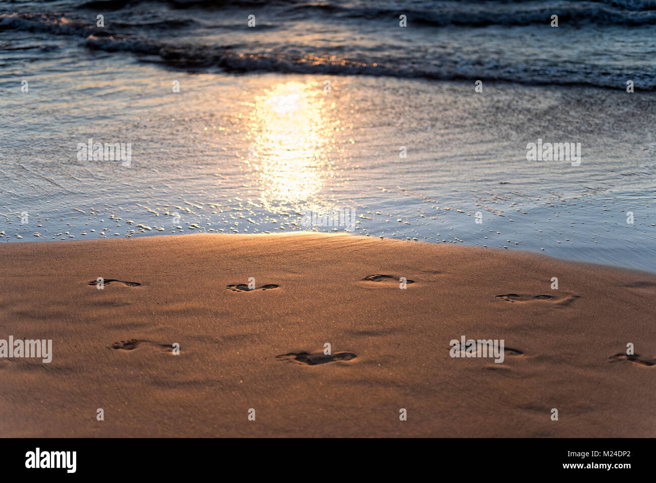 Footprints in the sand at the beach Stock Photo - Alamy
