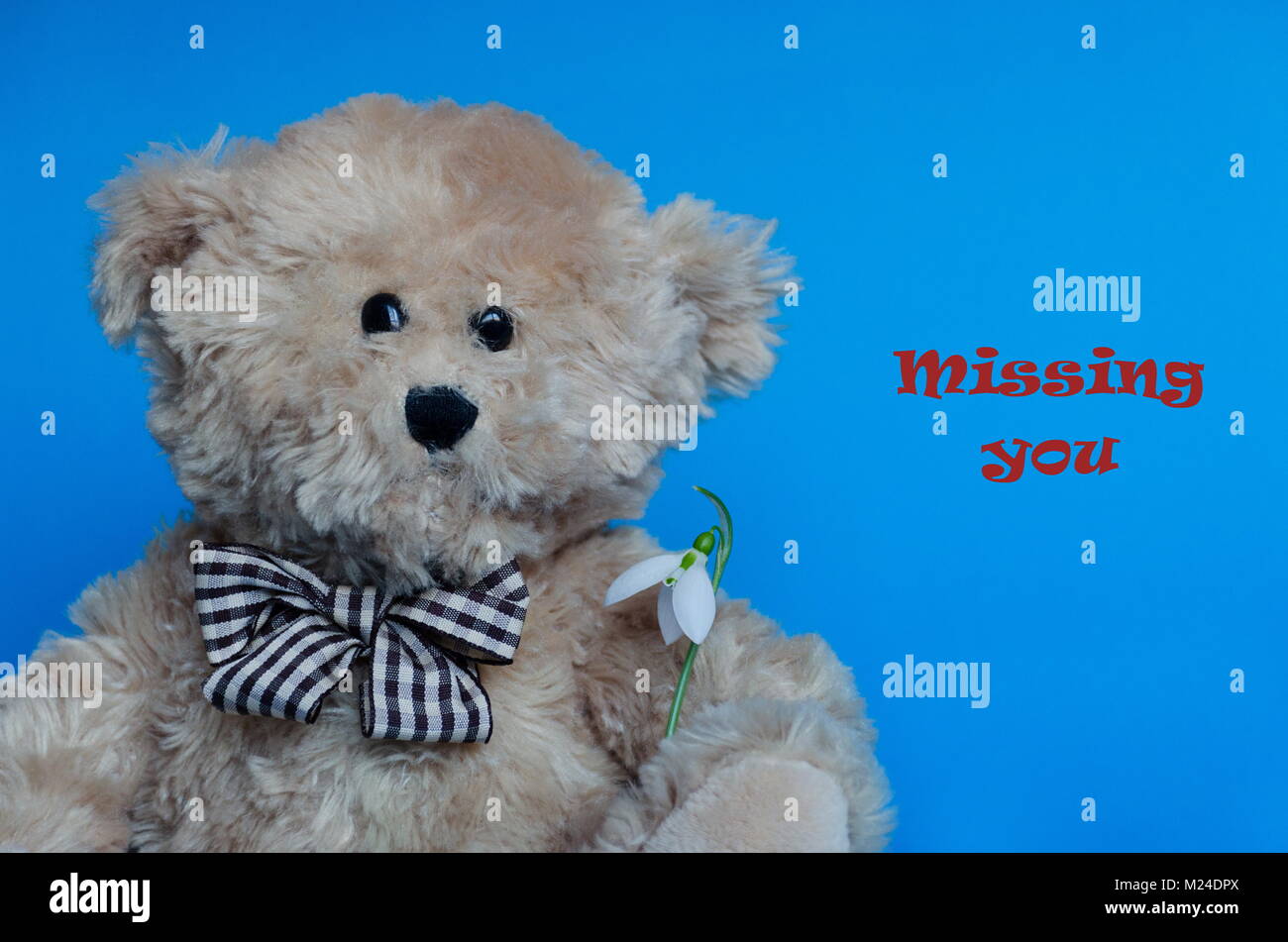 Missing You A Lot