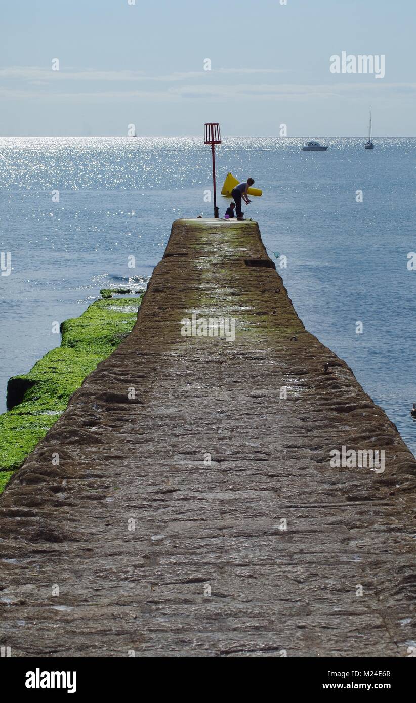 Boy Crabbing from a Coastal Stone Pier Breakwater at Dawlish Beach ...