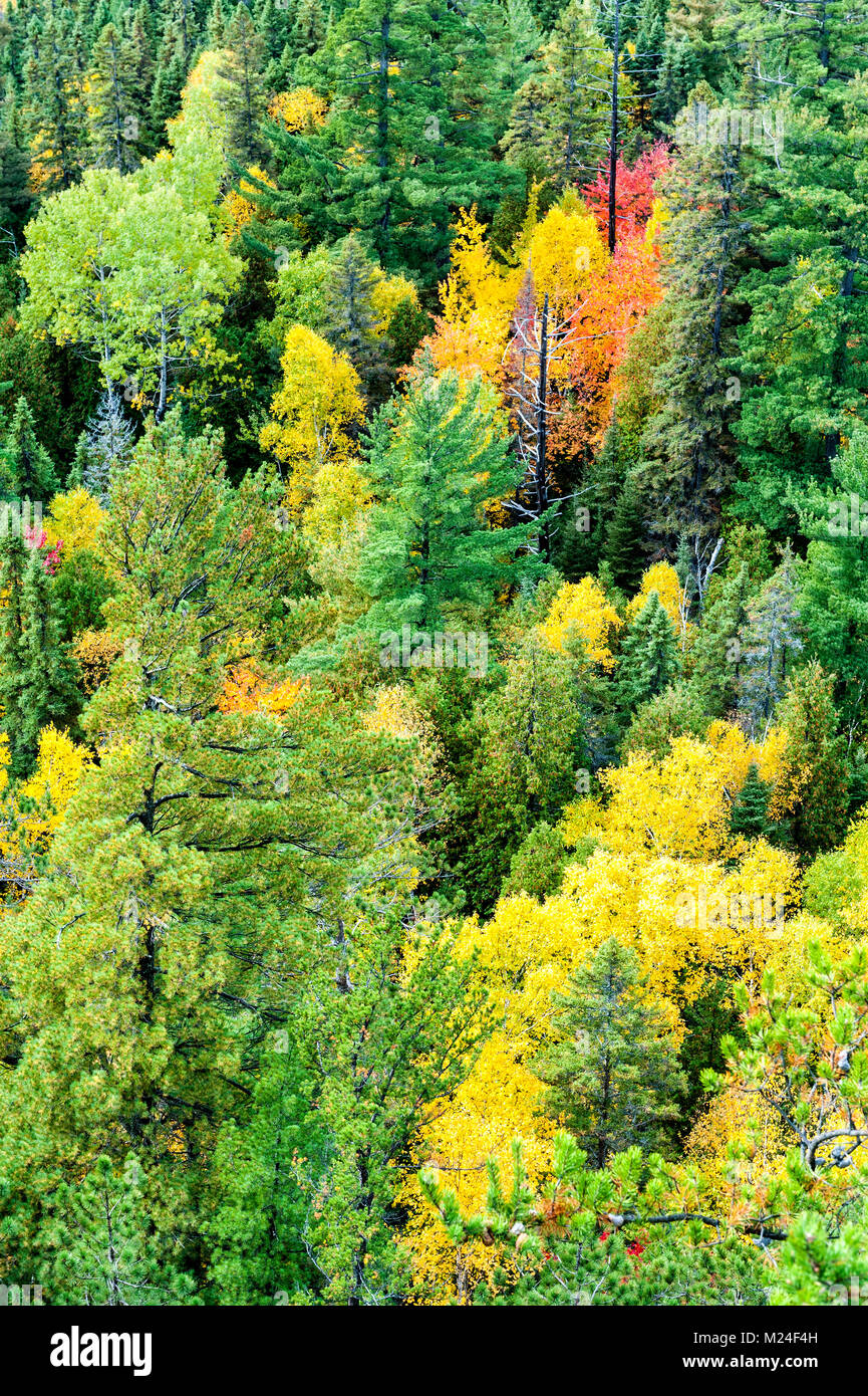Fall colours trees hi-res stock photography and images - Alamy