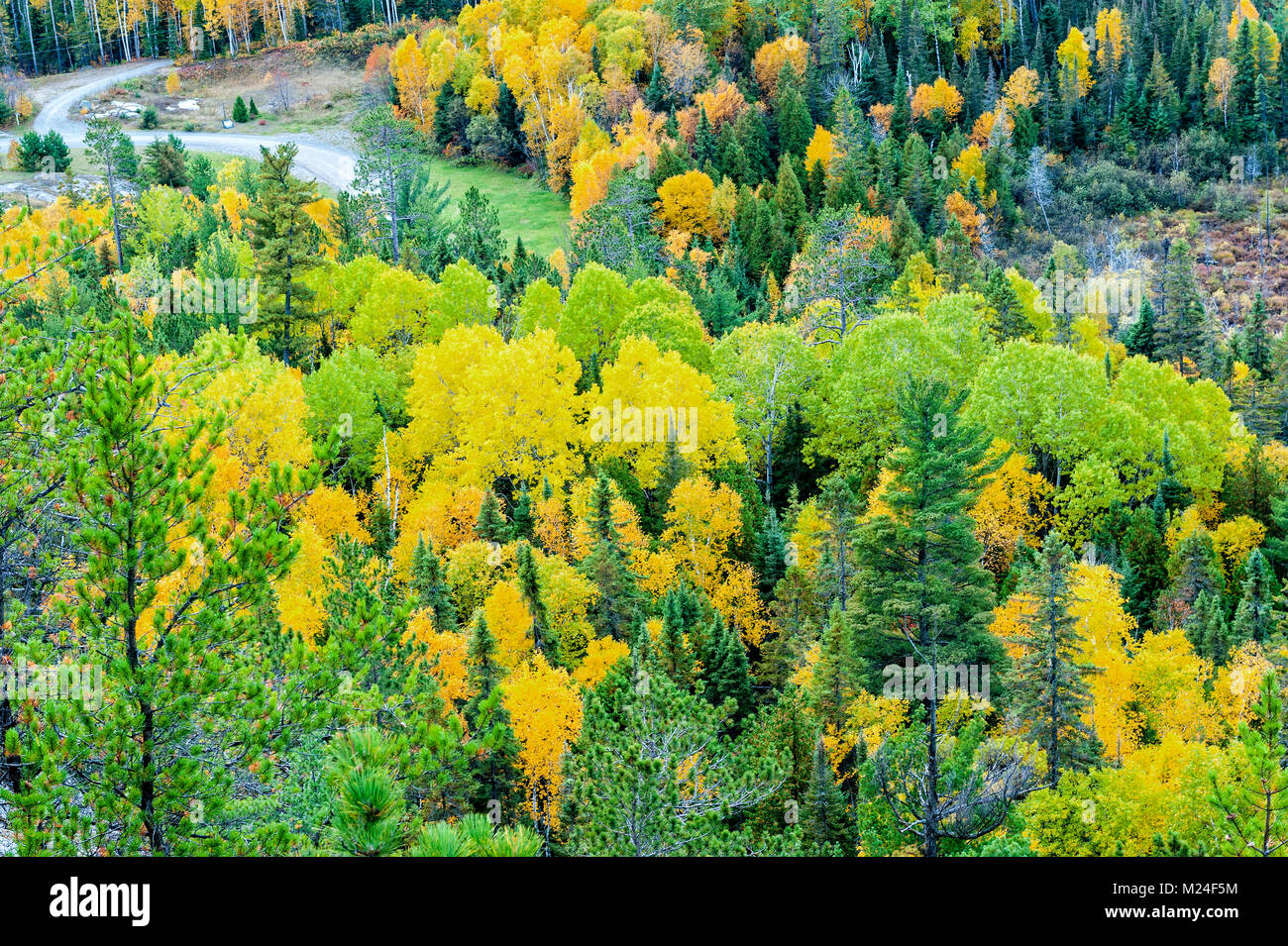 an aerial photograh of the fall colours in northern ontario Stock Photo ...