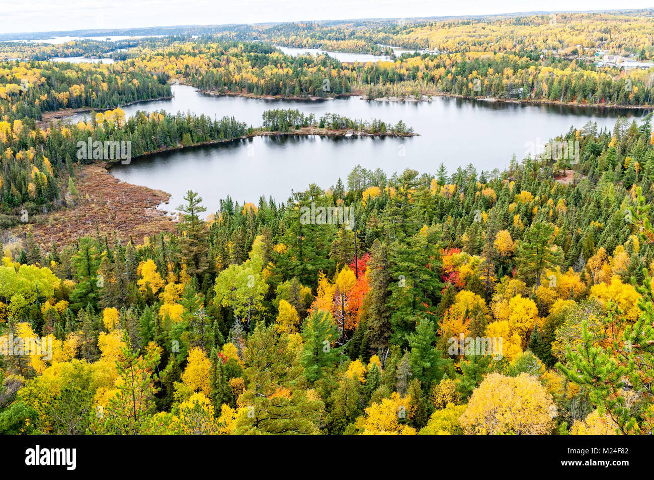 Pine Forest Aerial Stock Photos & Pine Forest Aerial Stock Images - Alamy