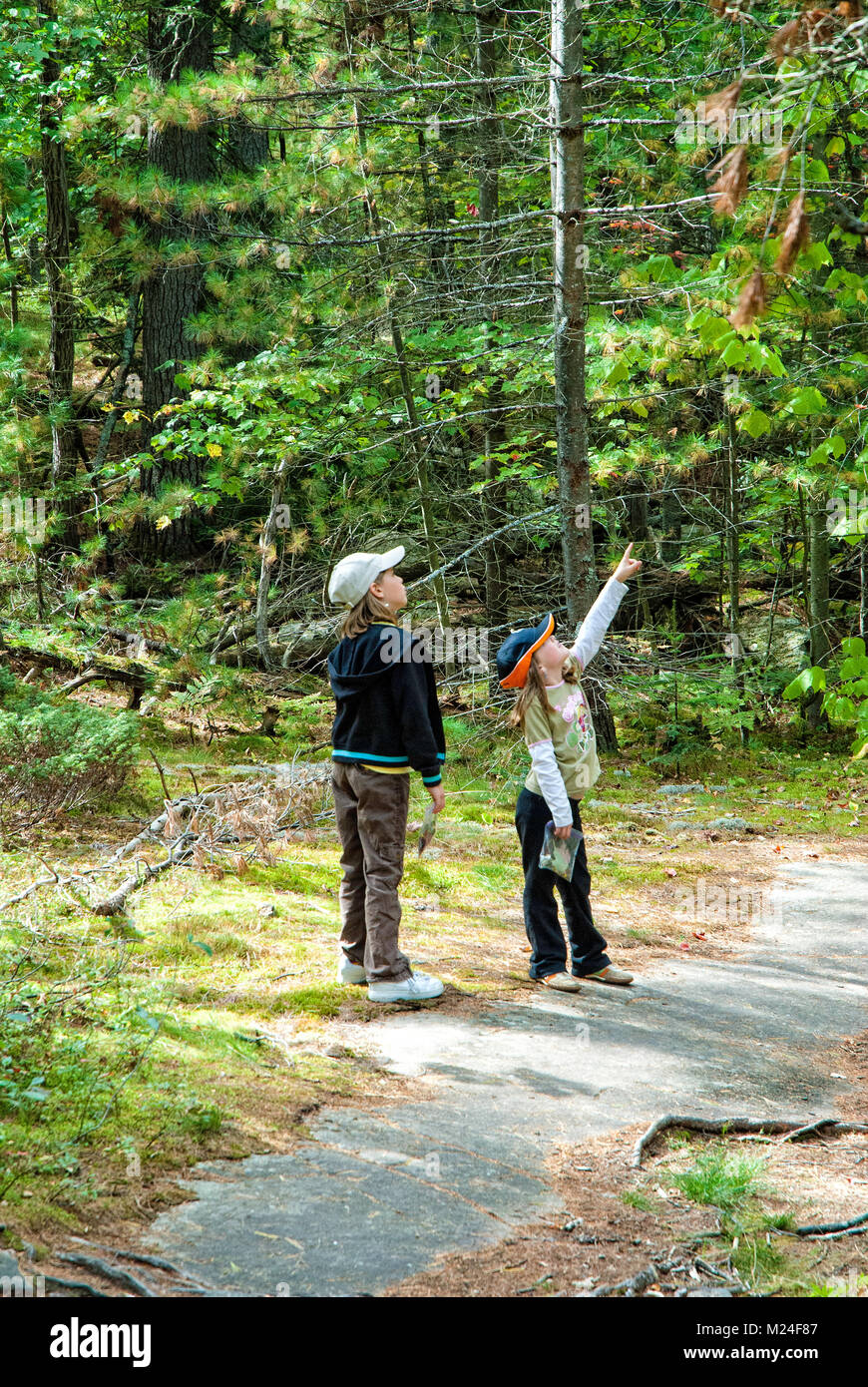a little girl pointing to something in a tree Stock Photo - Alamy
