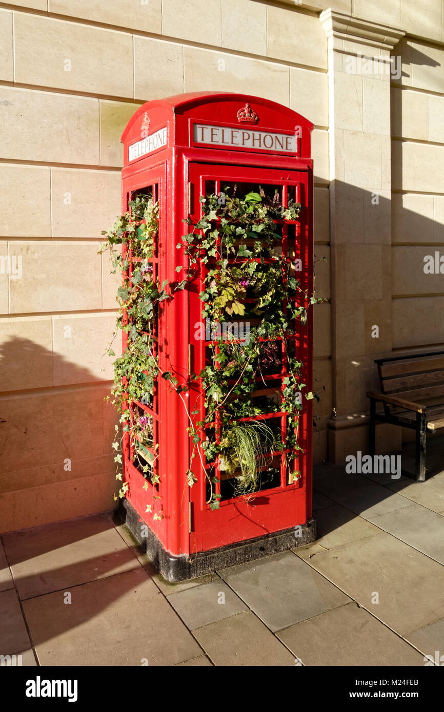 A Traditional British Red Telephone Box filled with plants in St ...