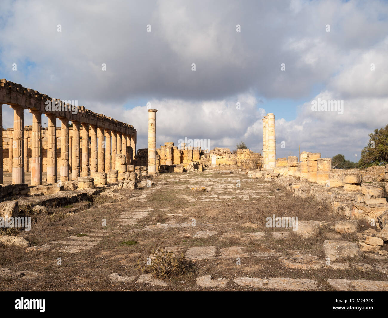 Cyrene hi-res stock photography and images - Alamy