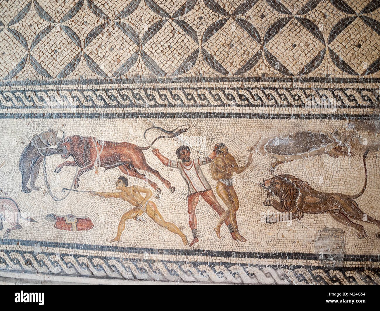 Lion gladiator hi-res stock photography and images - Alamy