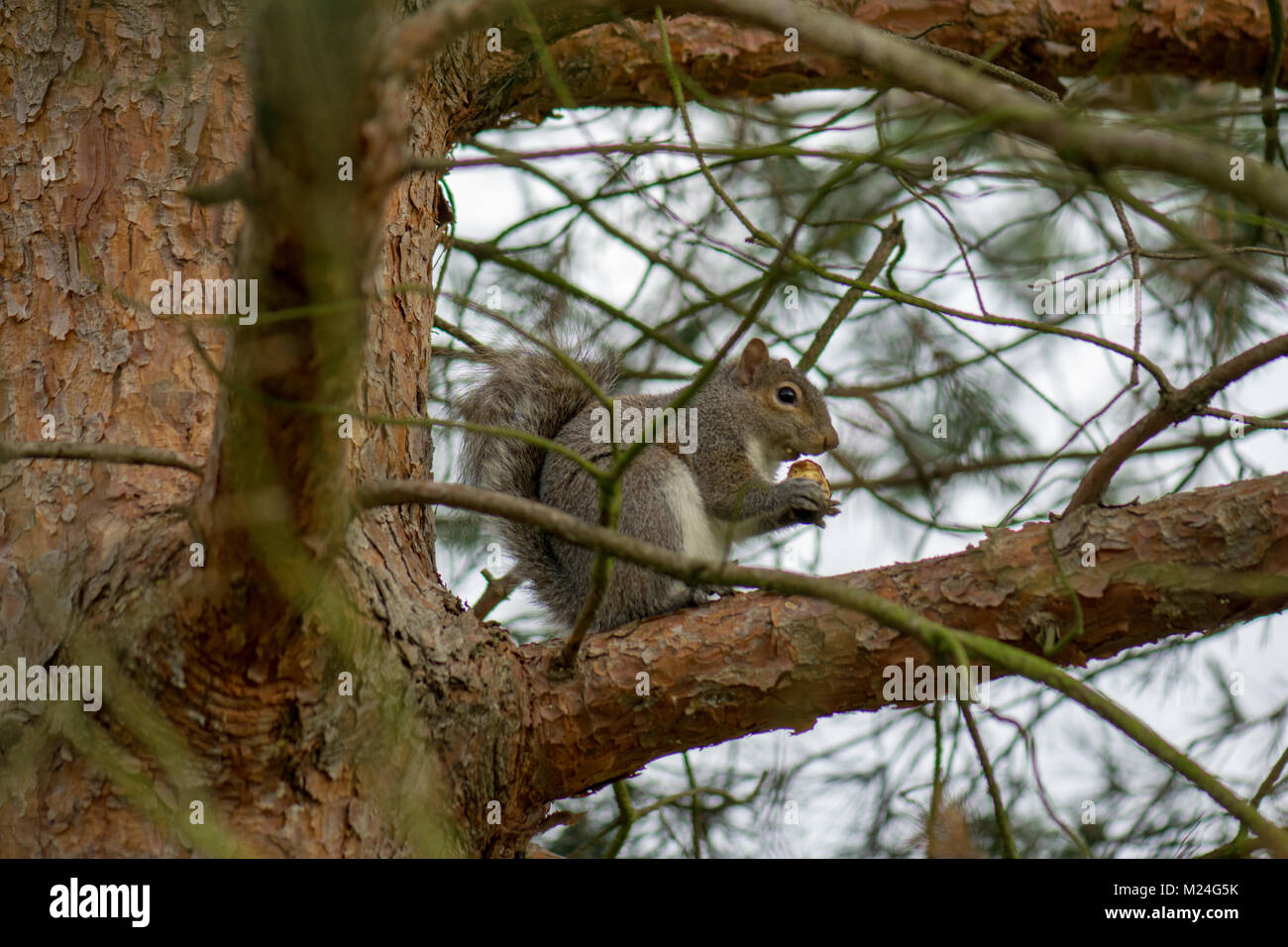 Private spot hi-res stock photography and images - Alamy