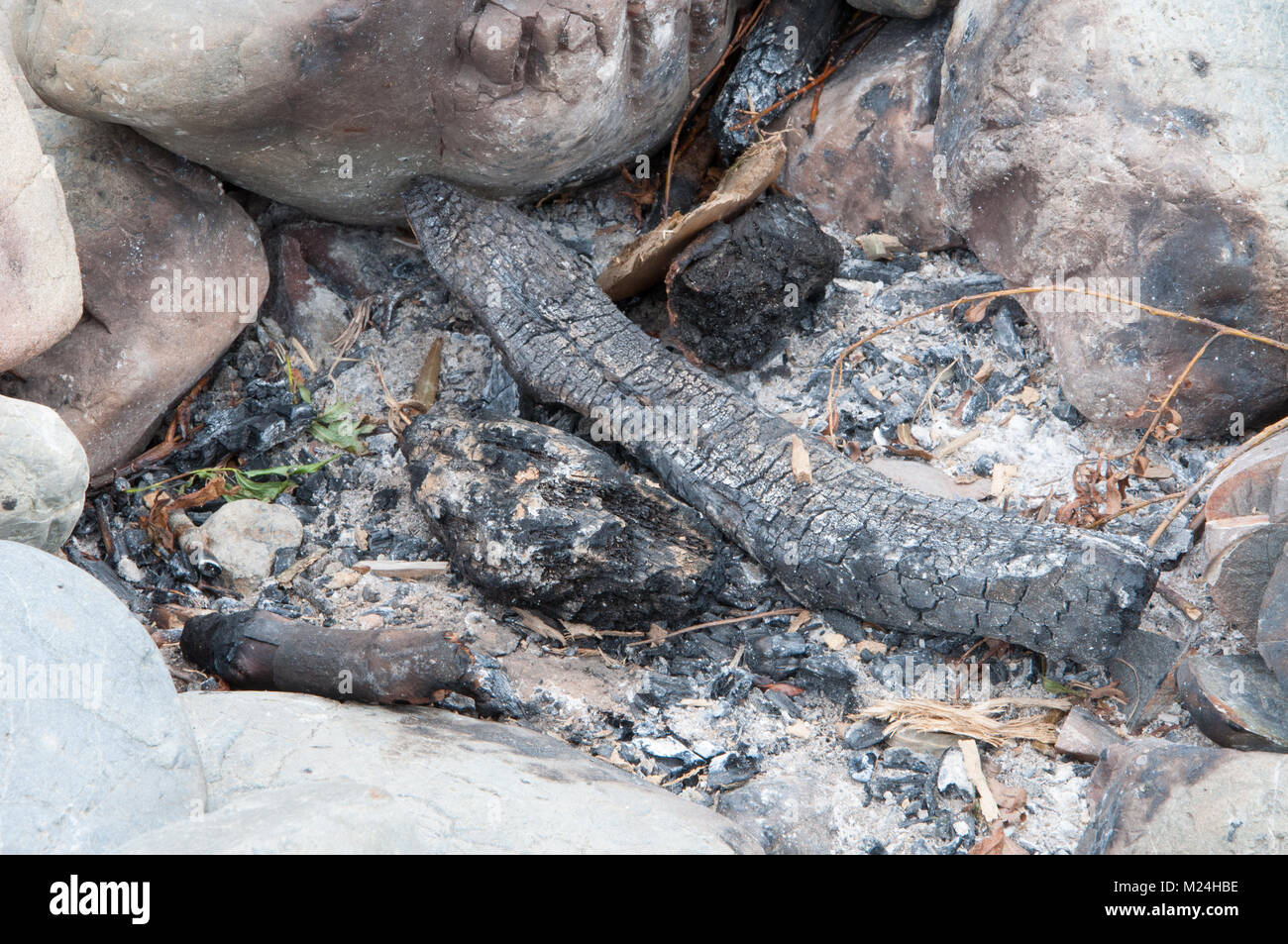 Remains Of A Campfire Stock Photo - Alamy