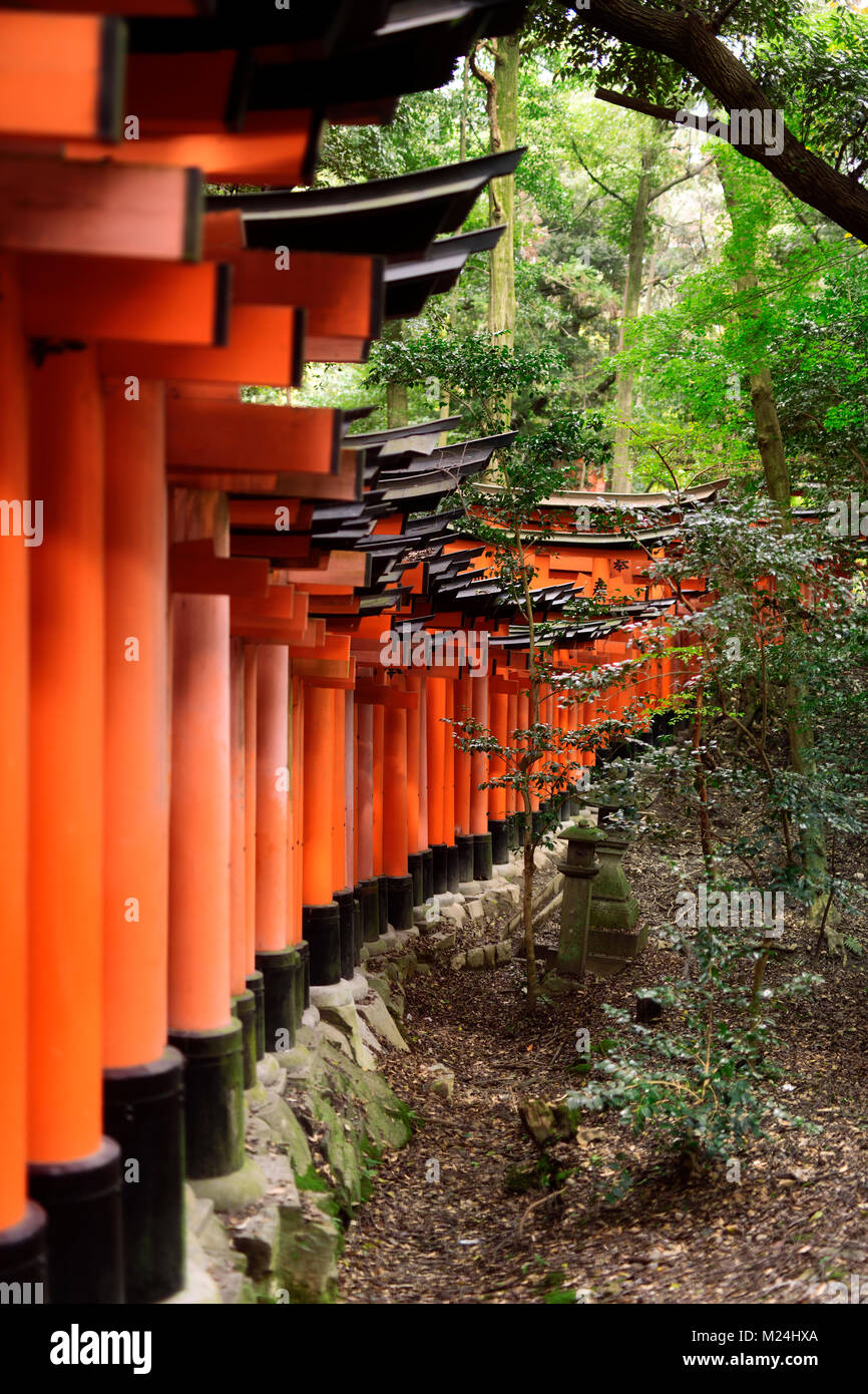 Torii gates hi-res stock photography and images - Alamy